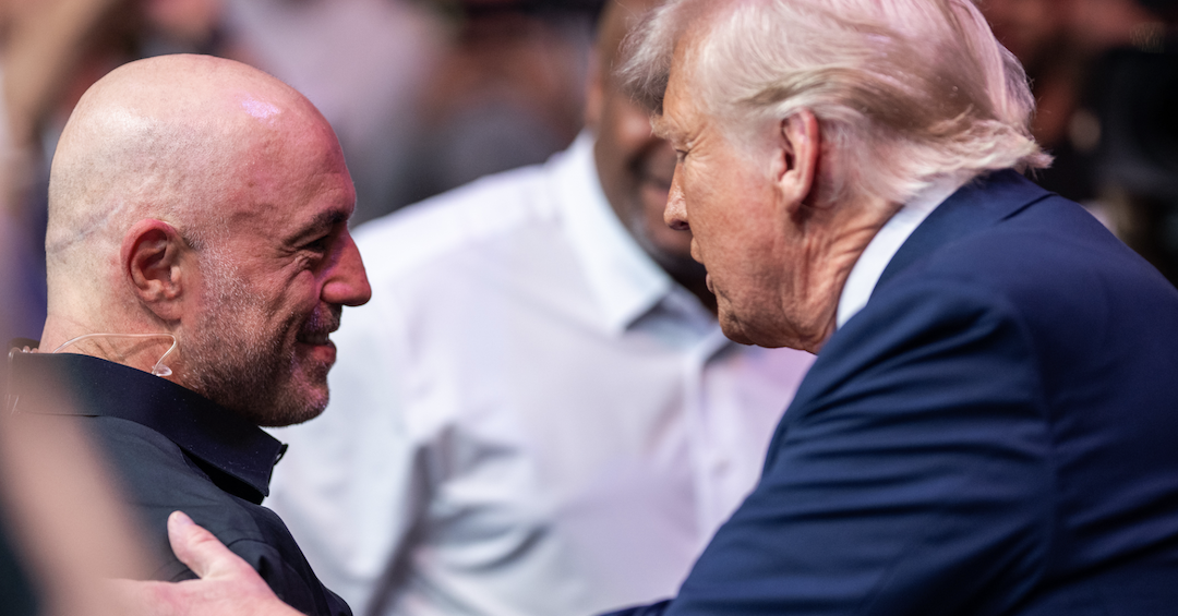 They Are Building A UFC Arena On The White House Lawn – Caitlin Johnstone